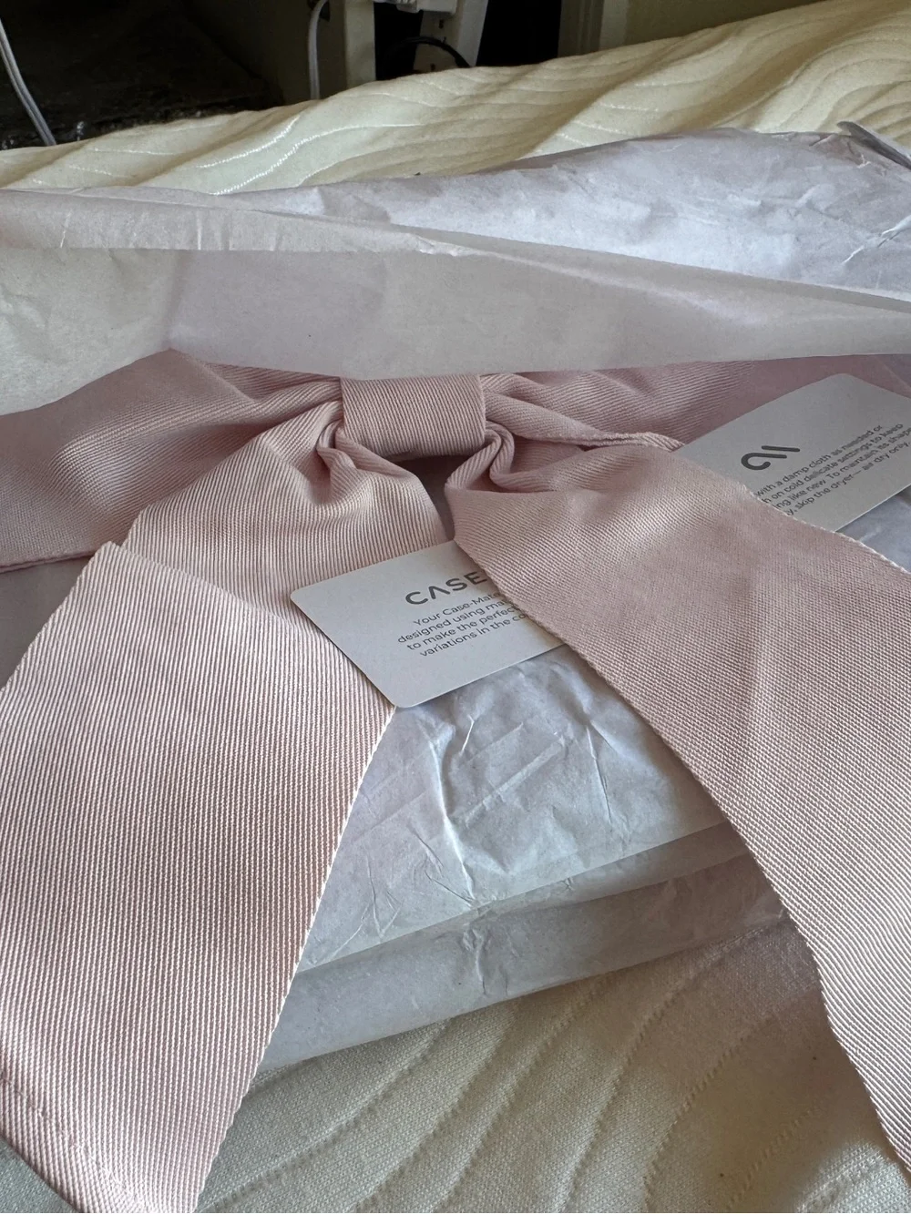 Bags | Casemate Ballet Pink Bow Jelly Tote | Poshmark